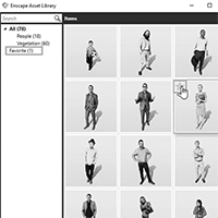 Video in Enscape - Enscape